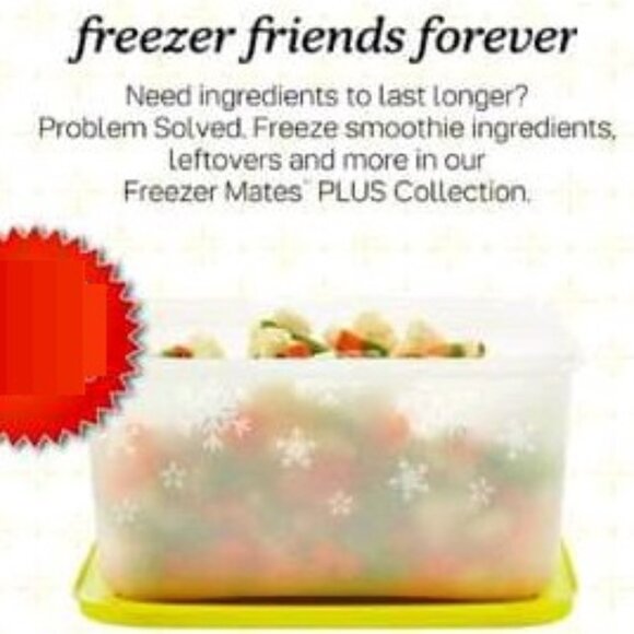 Tupperware | Kitchen | Tupperware Freezer Mates Plus Stain Guard Medium ...